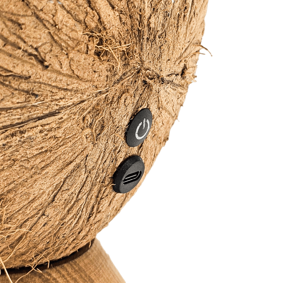 The Coconut Speaker by Cocobo, a tropical Bluetooth speaker