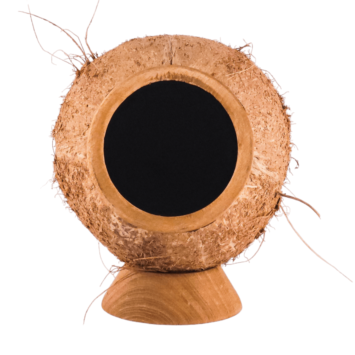 The Coconut Speaker by Cocobo, a tropical Bluetooth speaker