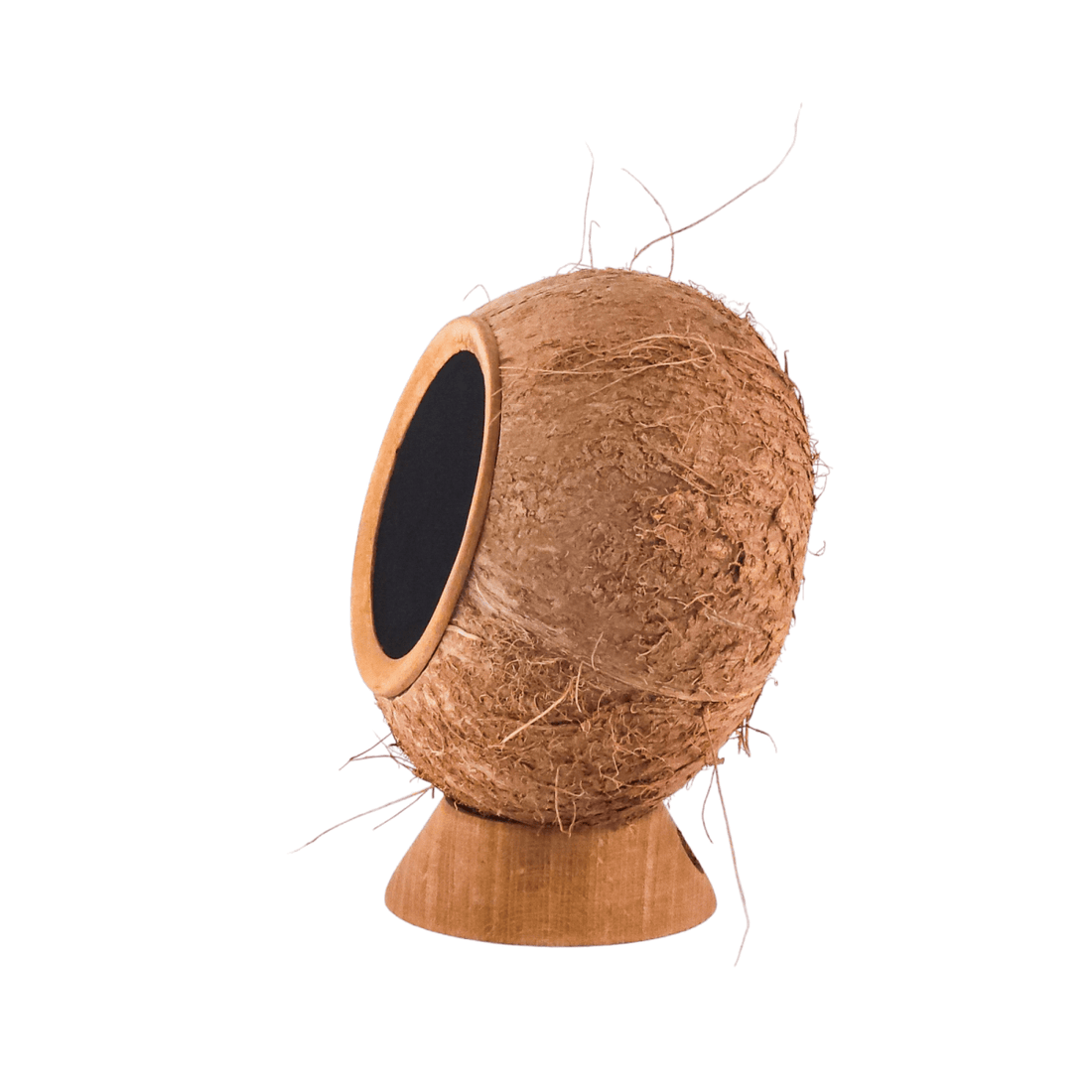 The Coconut Speaker by Cocobo, a tropical Bluetooth speaker